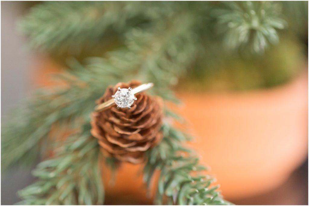 Erica & McKinley | Biltmore Estate Engagement Session| Christa Rene ...
